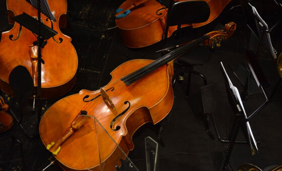 A String Of Differences: The Cello vs. The Double Bass